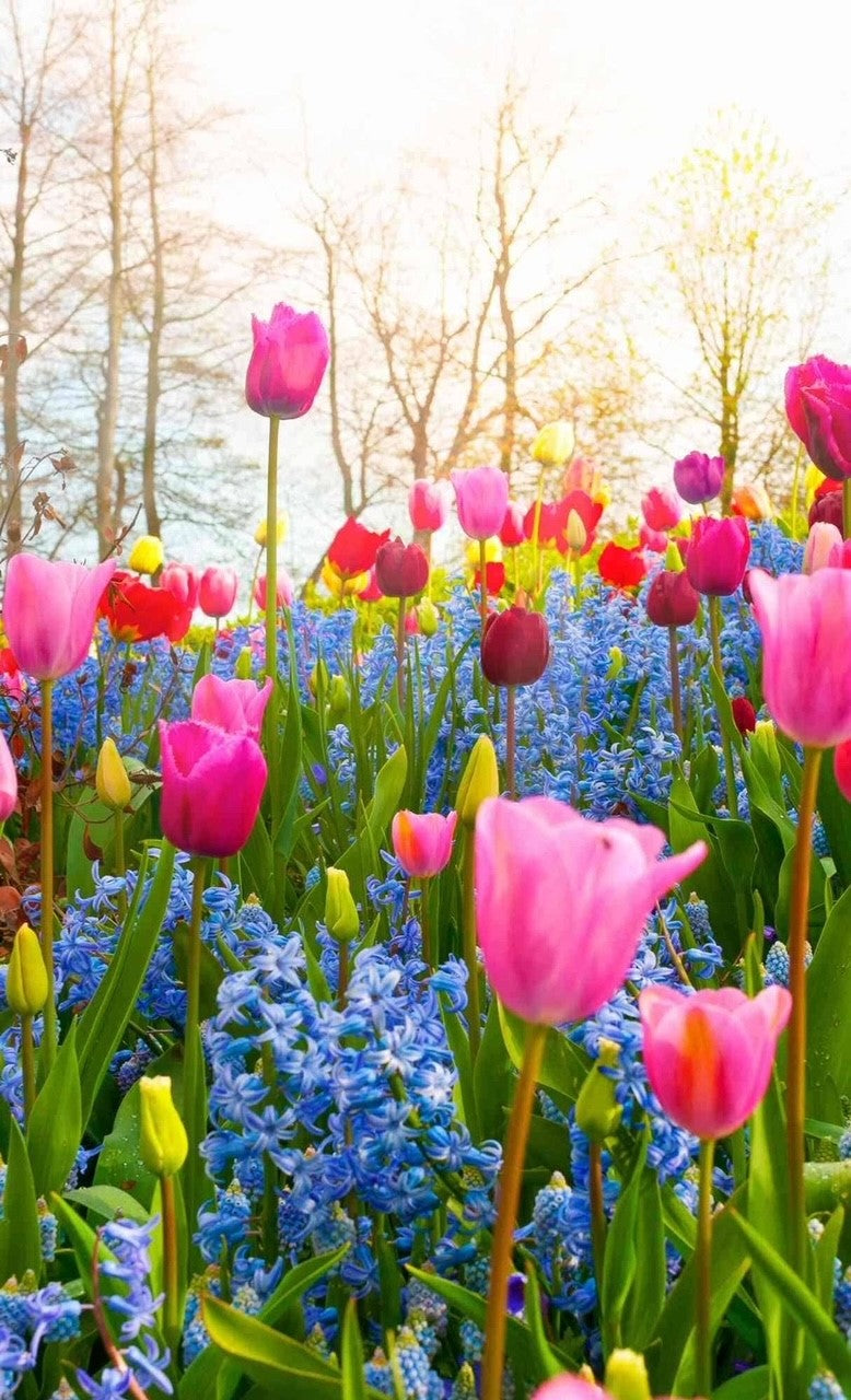 Flowerish | Florist in Johannesburg & Polokwane | Same-Day Flower Deli ...